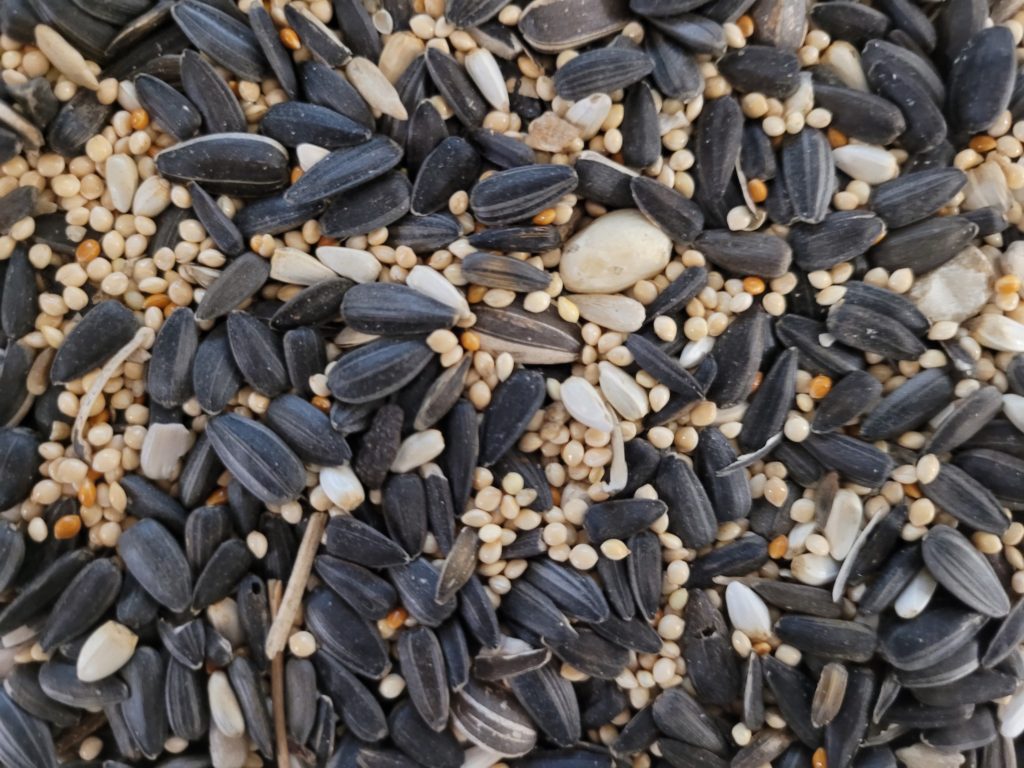 Oliger Seed Company – Our Popular Wild Bird Mixtures